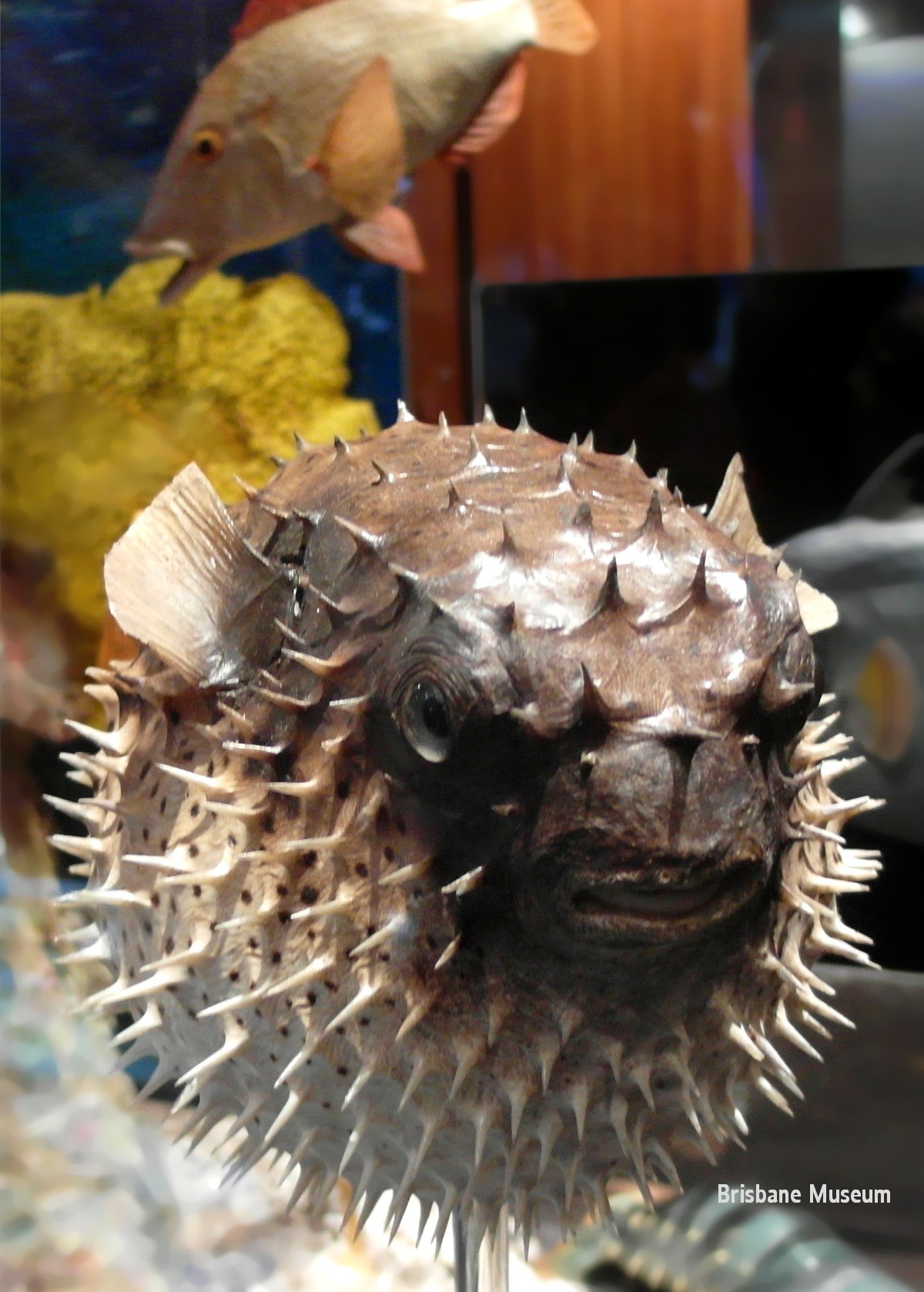 Fugu Haiku – #5 – guest – Pugh | Tiki Obscure