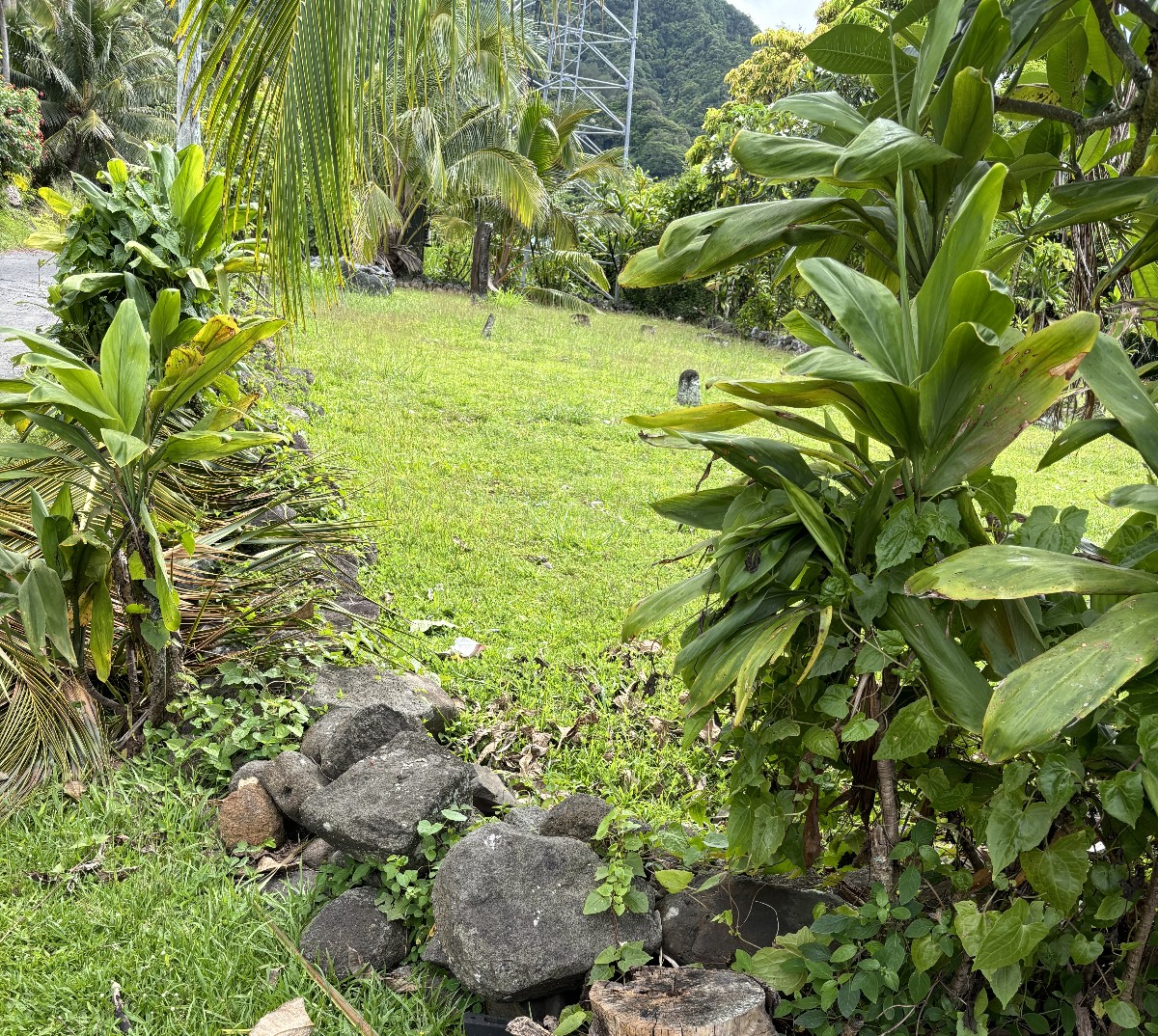 Steinlarger Marae – Takitumu District , Cook Island . | Tiki Obscure